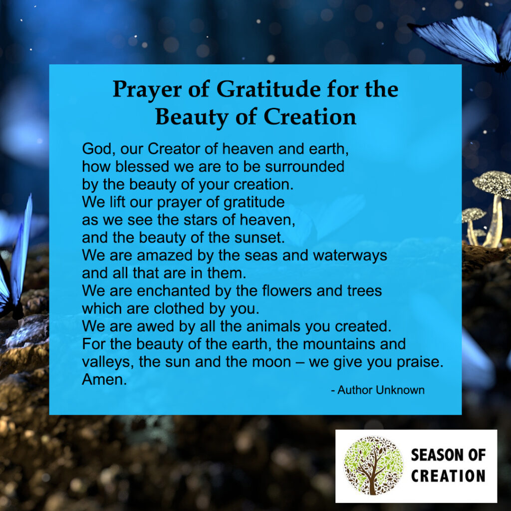 Prayer of Gratitude for the Beauty of Creation – Season of Creation ...