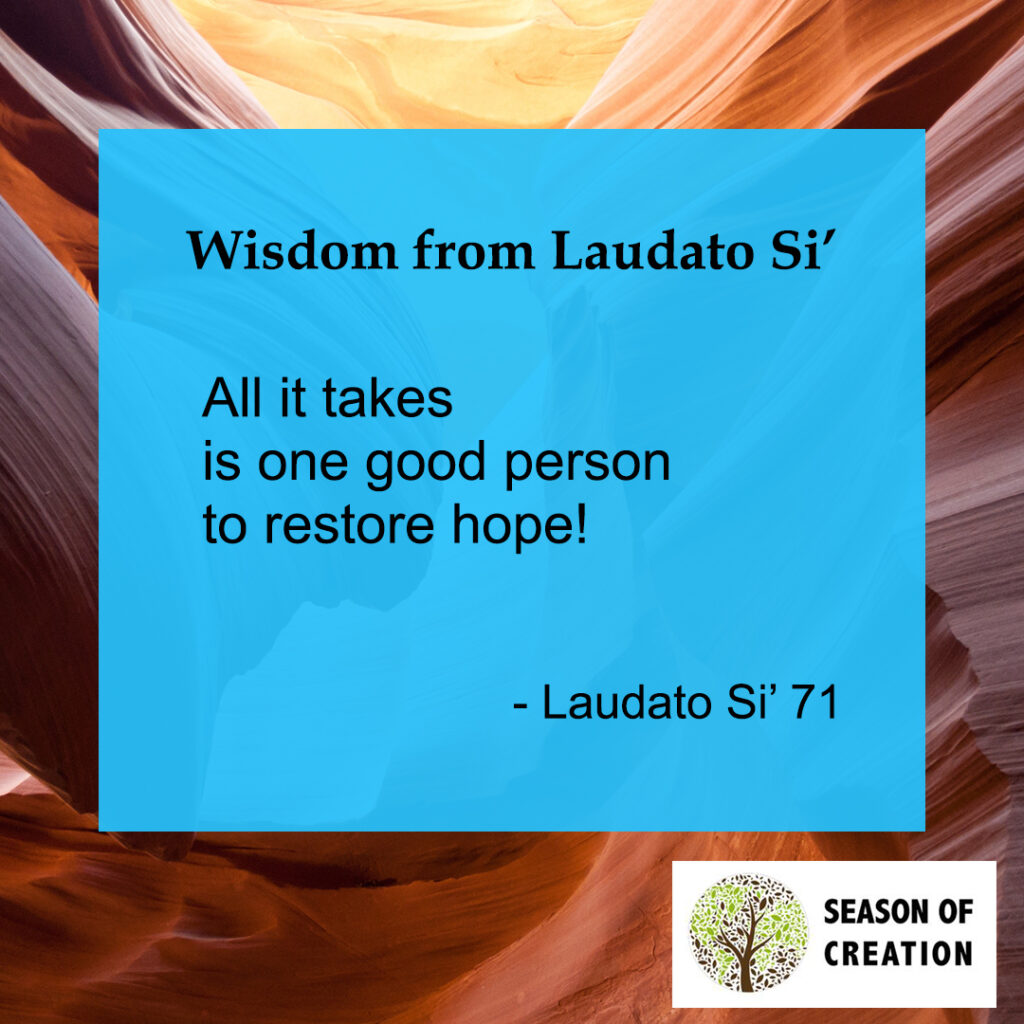 Wisdom from Laudato Si’ – Season of Creation – CSJoseph
