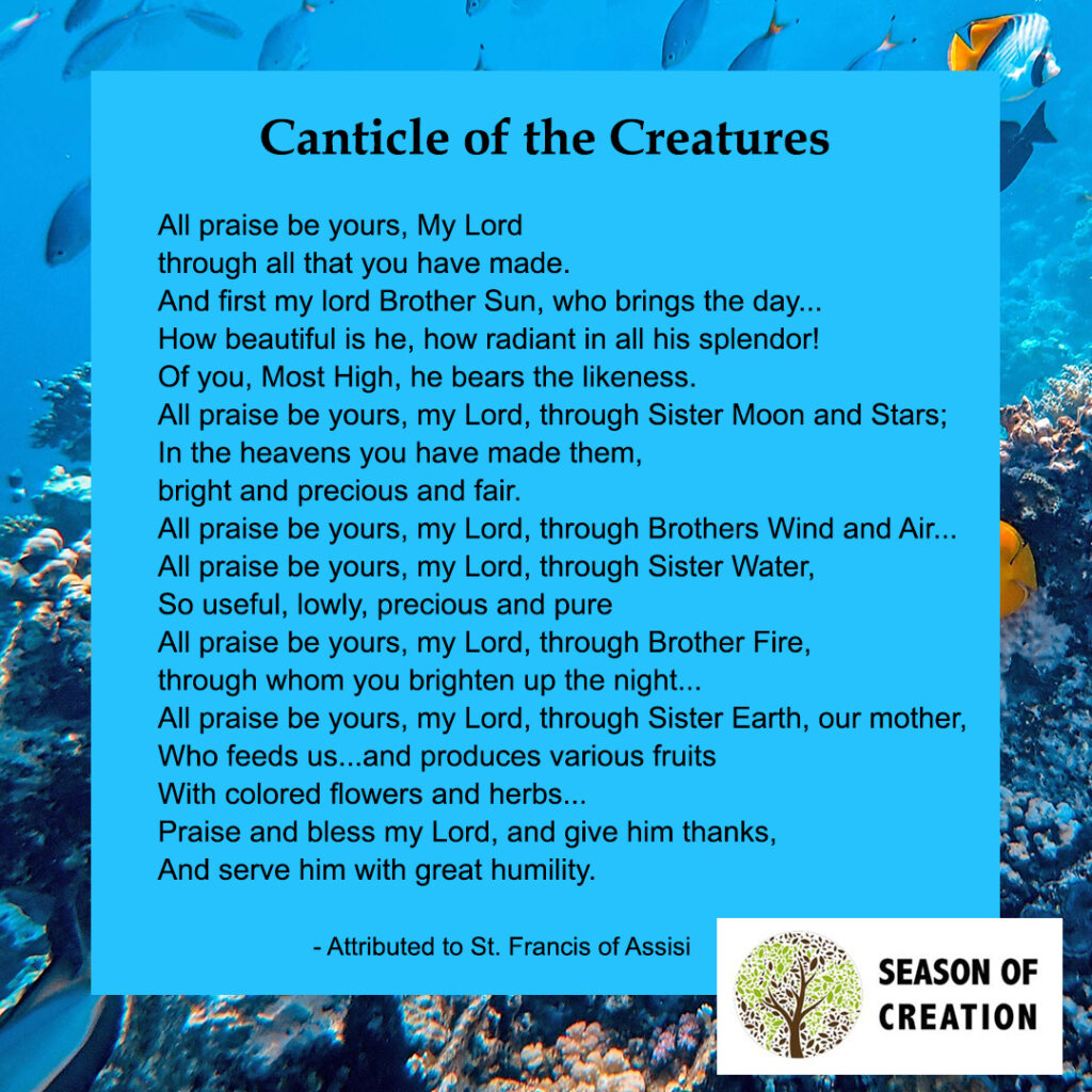 Canticle of the Creatures – Season of Creation – CSJoseph