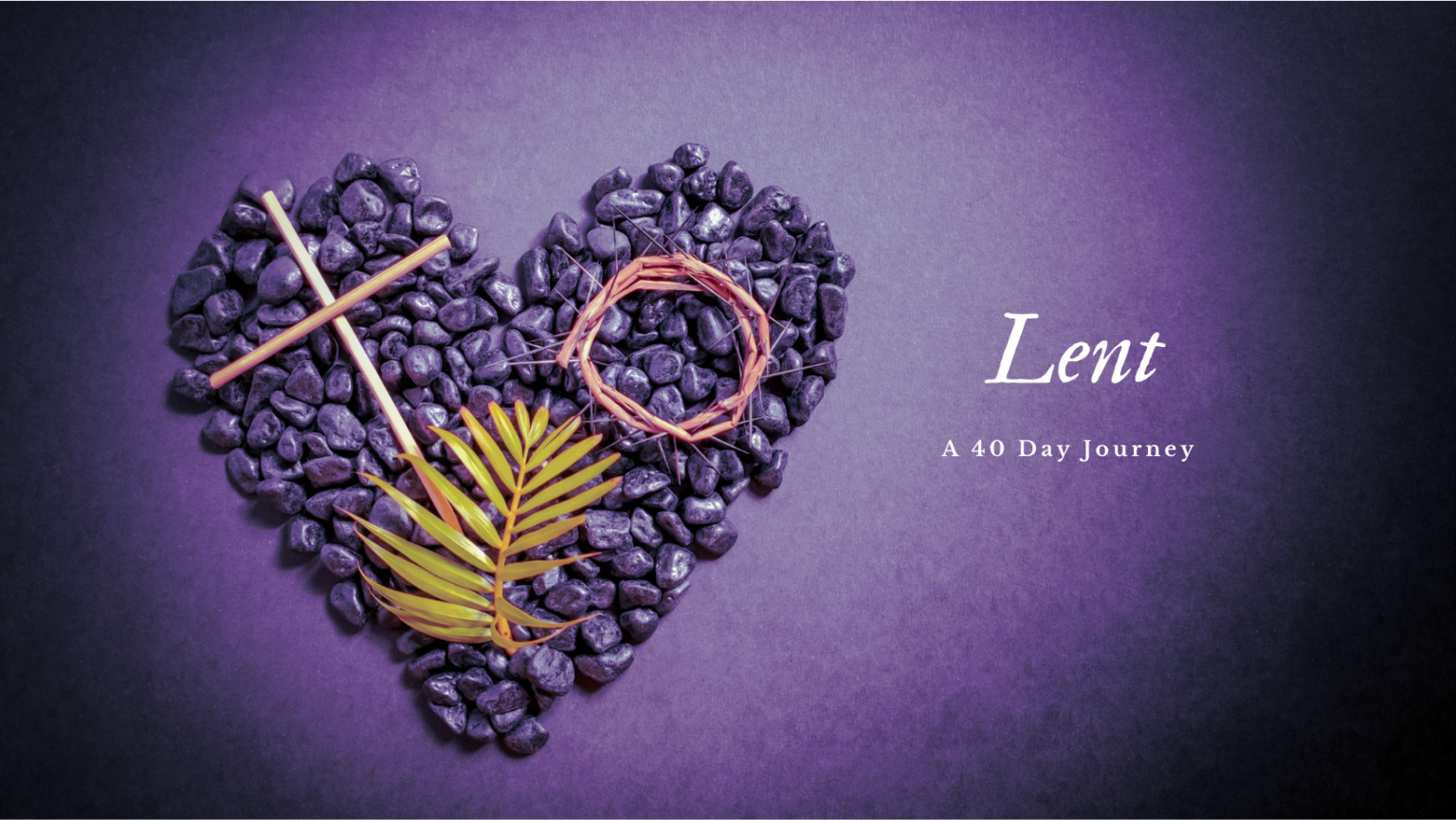 Lent Reflections – CSJoseph